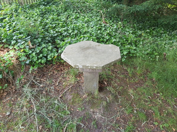 Lady's Well in Holystone - Fabulous North