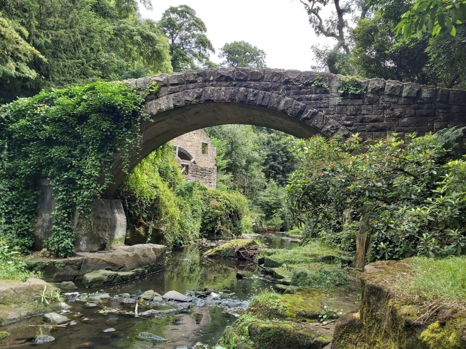 Jesmond Dene Waterfall in Jesmond Dene - Fabulous North