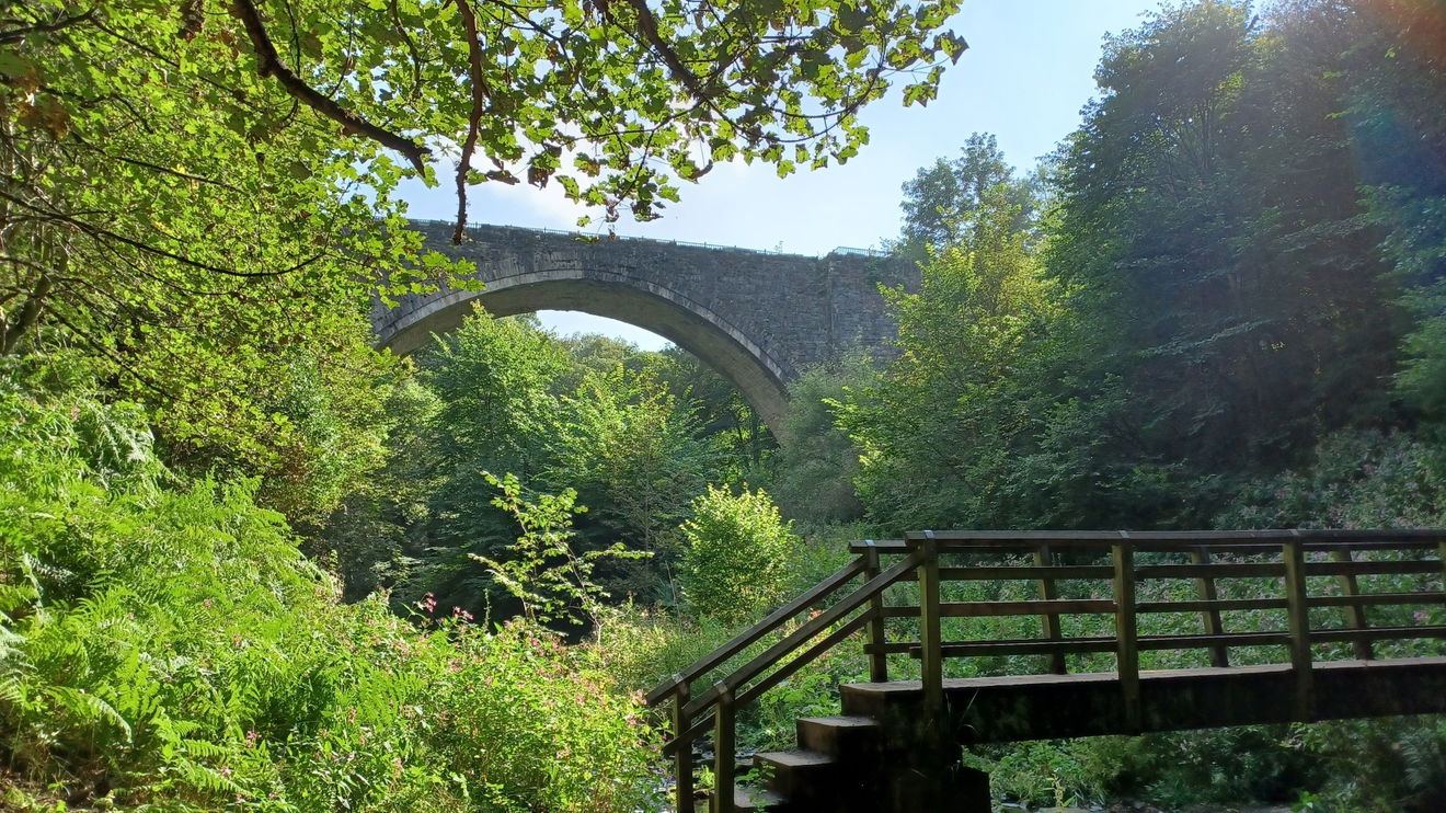 Causey Arch in Stanley - Fabulous North