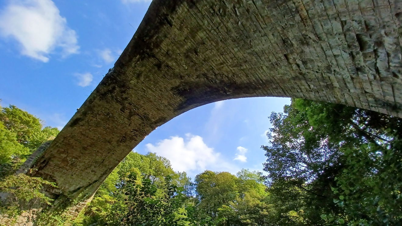 Causey Arch in Stanley - Fabulous North