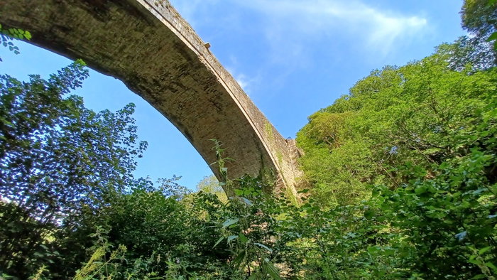 Causey Arch in Stanley - Fabulous North