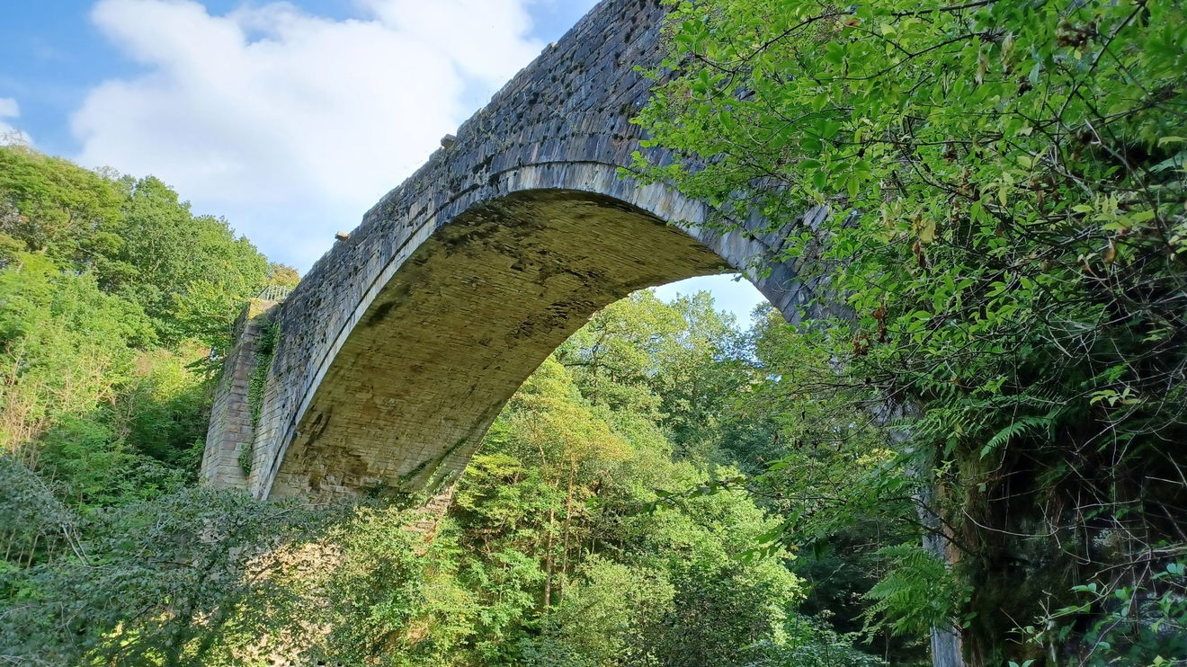 Causey Arch in Stanley - Fabulous North