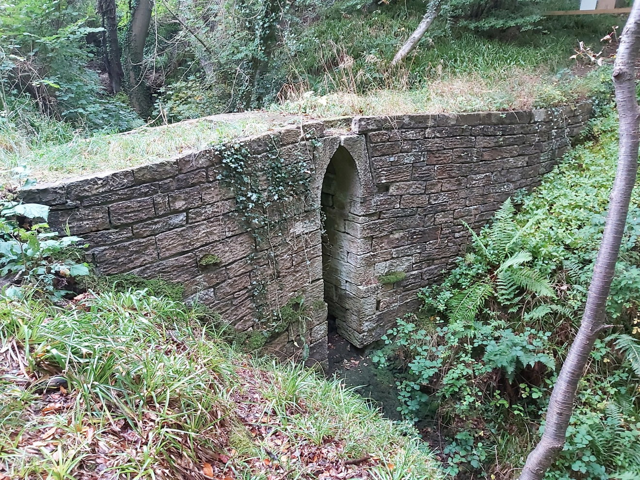 Hartburn Grotto in Morpeth - Fabulous North