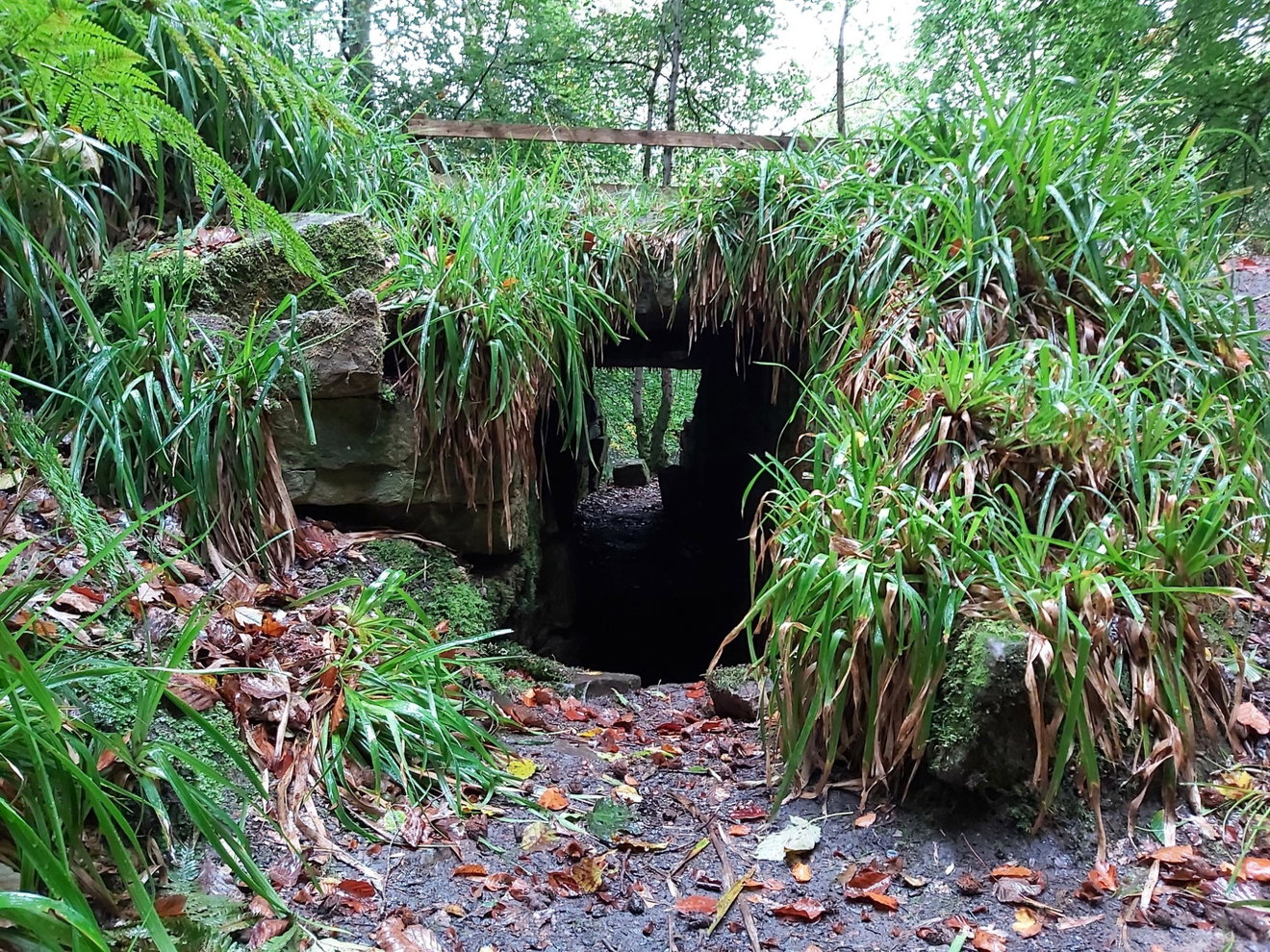 Hartburn Grotto in Morpeth - Fabulous North