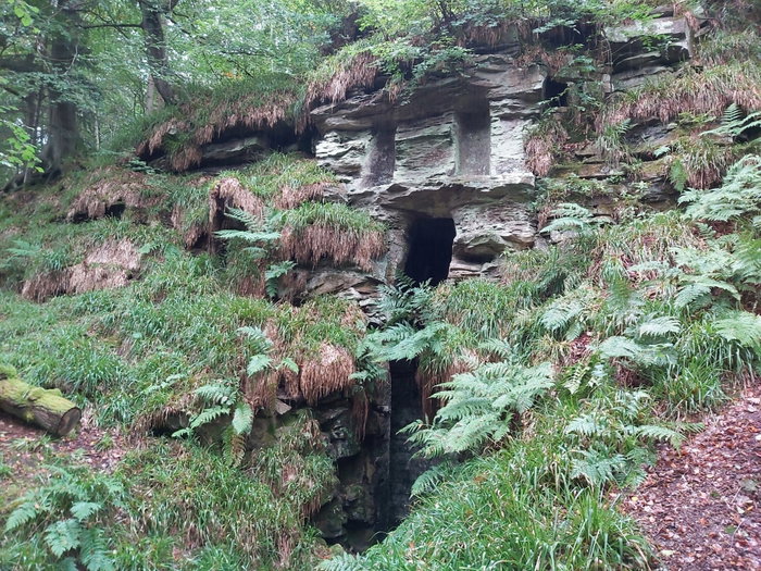 Hartburn Grotto in Morpeth - Fabulous North