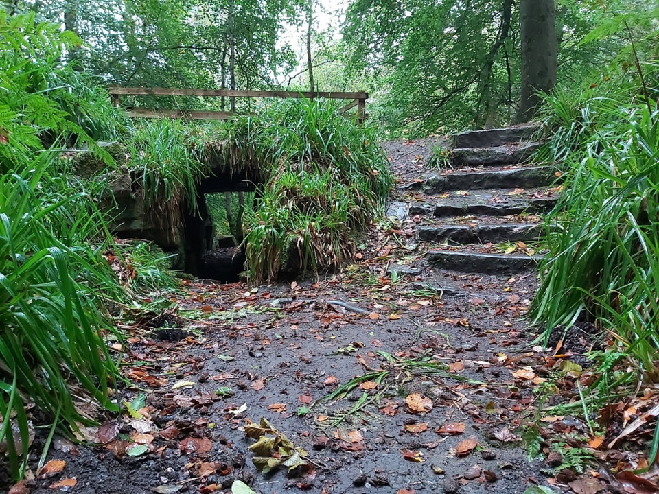 Hartburn Grotto in Morpeth - Fabulous North