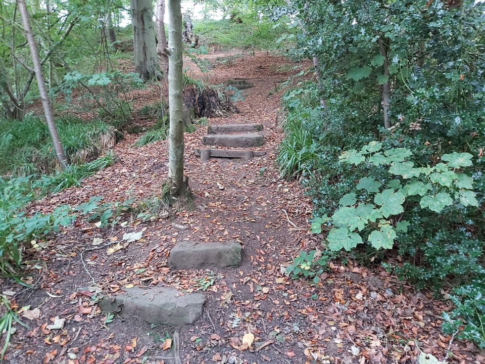 Hartburn Grotto in Morpeth - Fabulous North