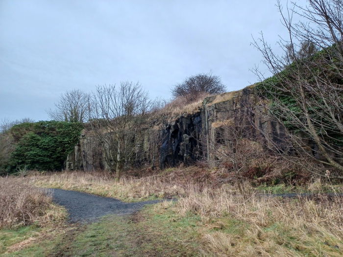 Embleton Quarry Nature Reserve in Craster - Fabulous North