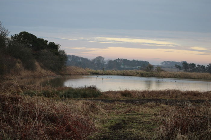 Embleton Quarry Nature Reserve in Craster - Fabulous North