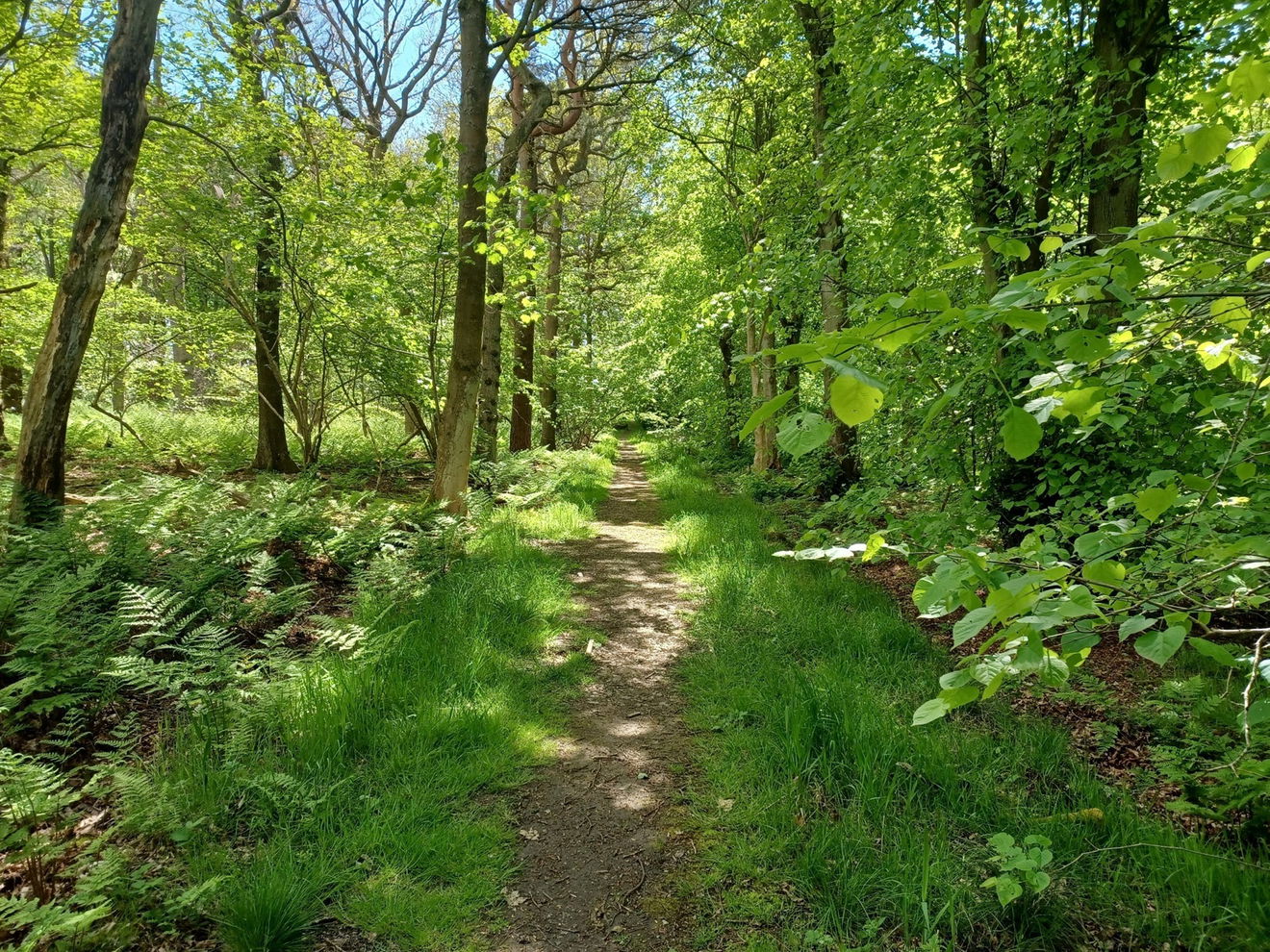 Gosforth Nature Reserve in Newcastle City Centre - Fabulous North