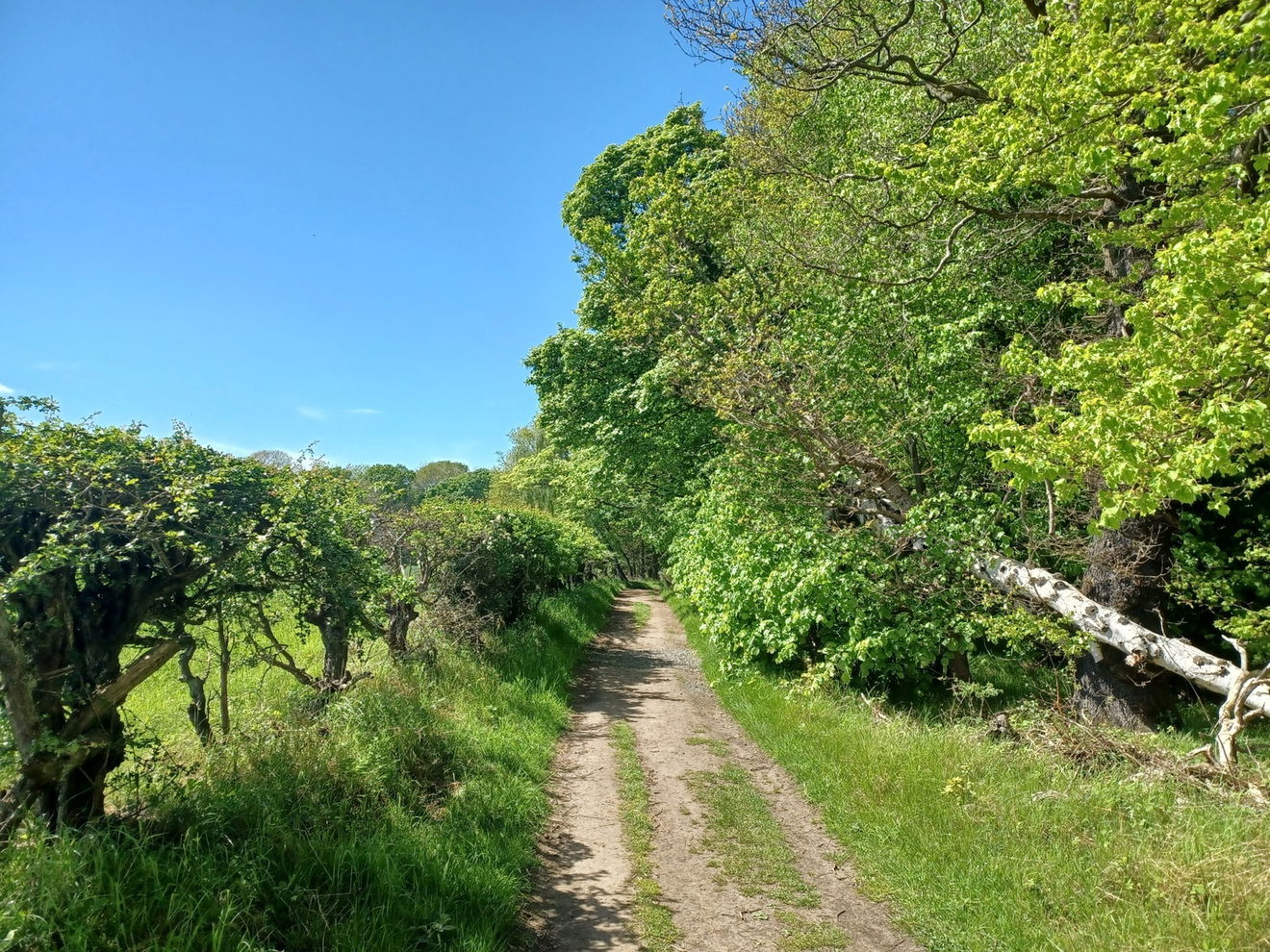 Gosforth Nature Reserve in Newcastle City Centre - Fabulous North