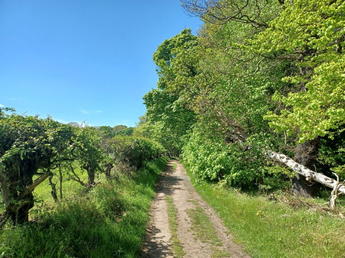 Gosforth Nature Reserve in Newcastle City Centre - Fabulous North