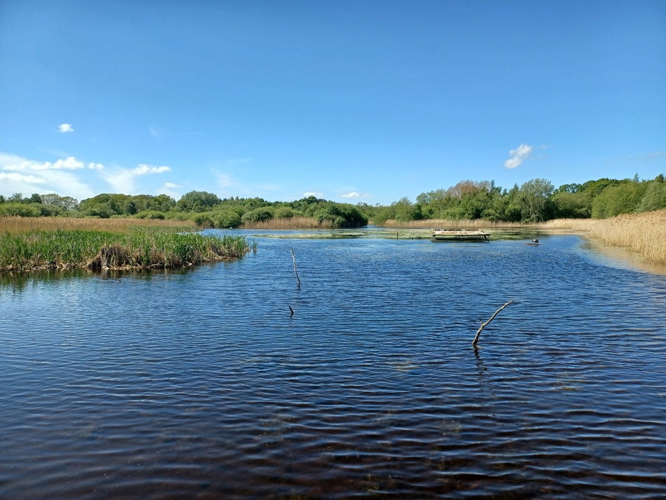 Gosforth Nature Reserve in Newcastle City Centre - Fabulous North