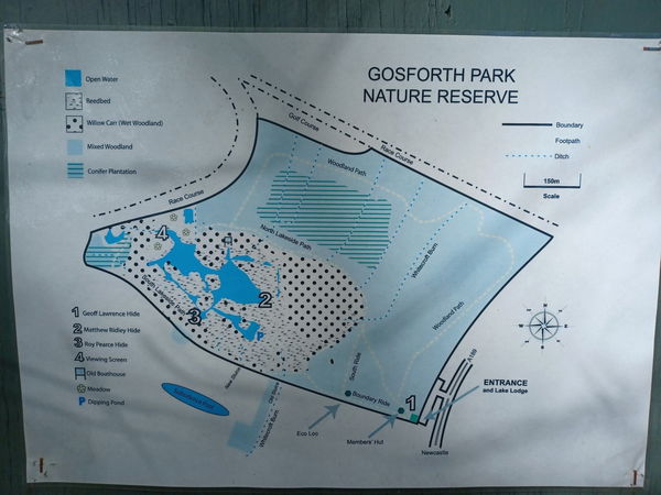 Gosforth Nature Reserve in Newcastle City Centre - Fabulous North
