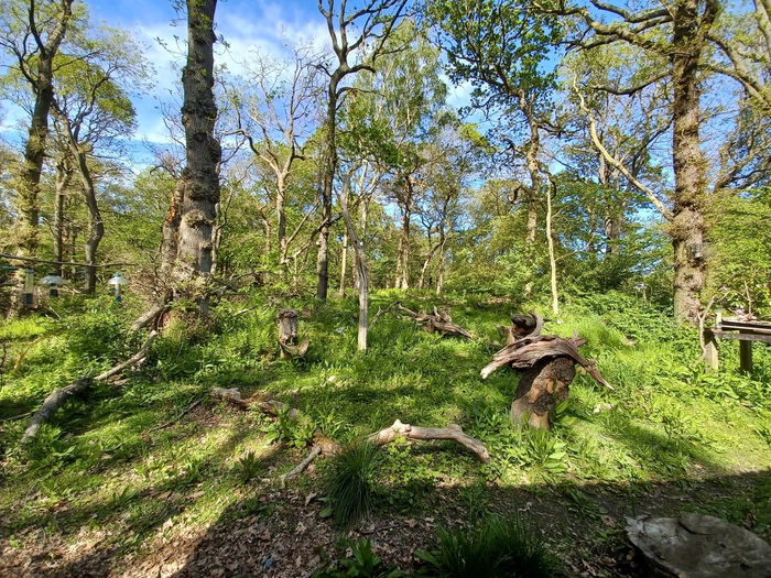 Gosforth Nature Reserve in Newcastle City Centre - Fabulous North