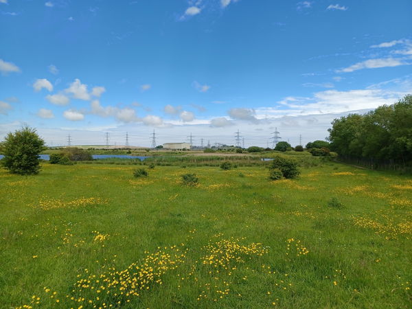 RSPB Saltholme in Middlesbrough - Fabulous North