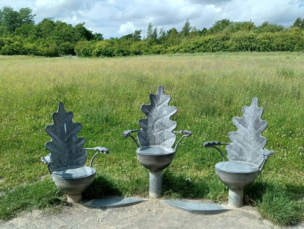 Watergate Forest Park in Gateshead - Fabulous North