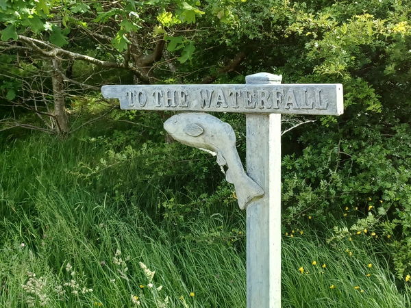 Watergate Forest Park in Gateshead - Fabulous North
