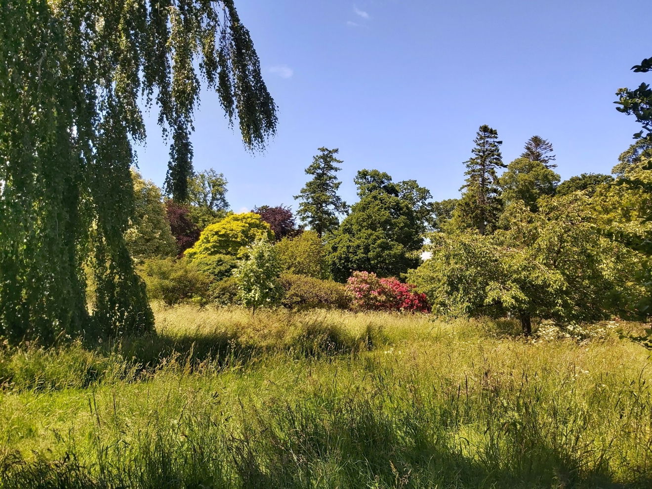 Lilburn Tower in Chillingham - Fabulous North