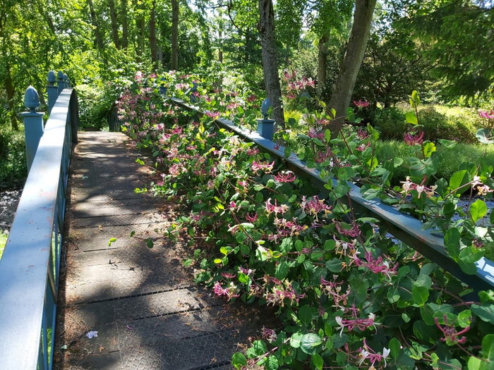 Lilburn Tower in Chillingham - Fabulous North