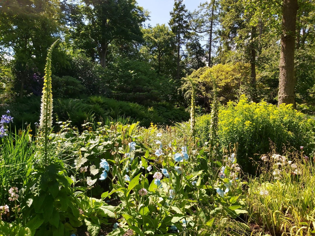 Lilburn Tower in Chillingham - Fabulous North