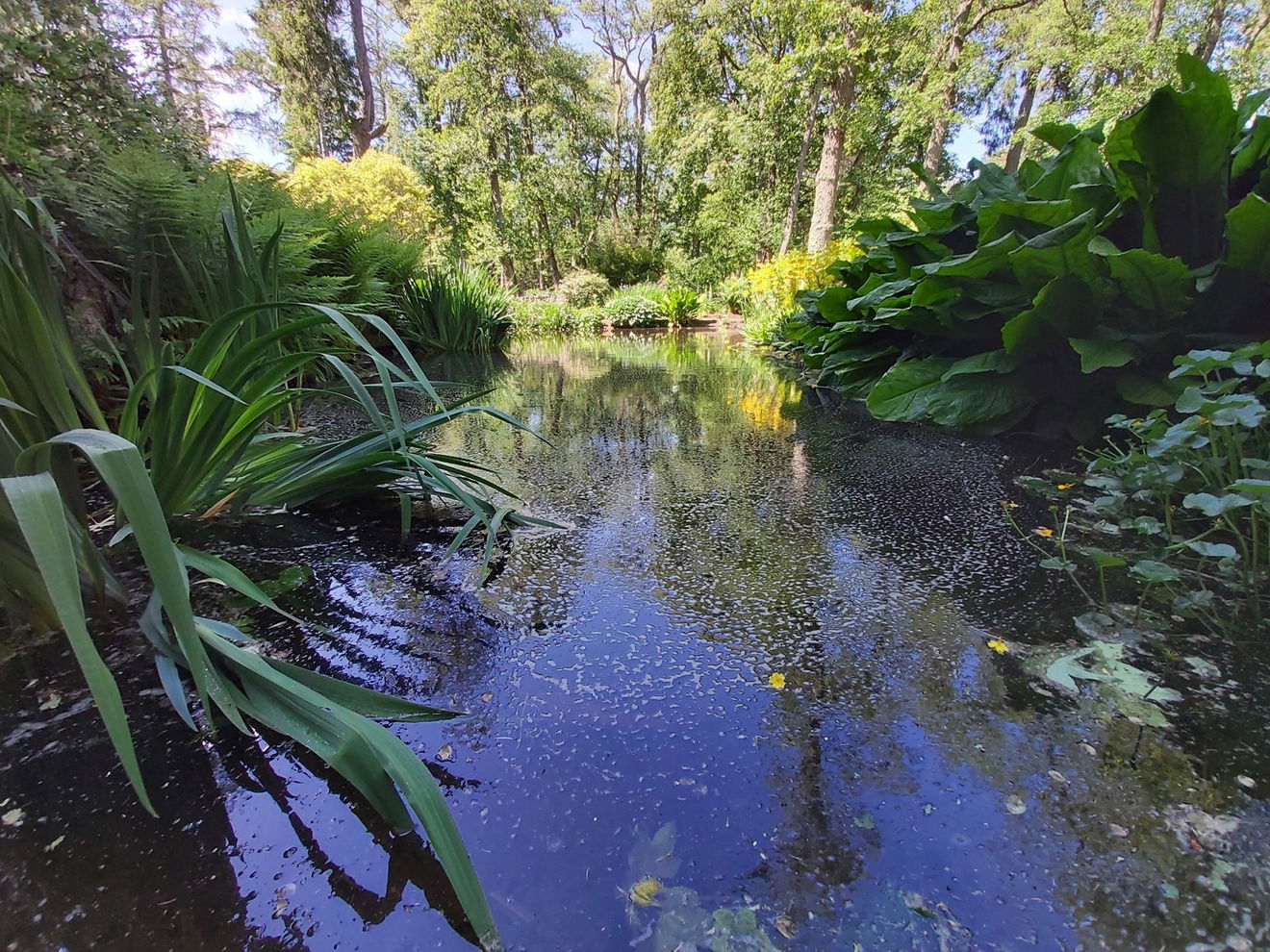 Lilburn Tower in Chillingham - Fabulous North