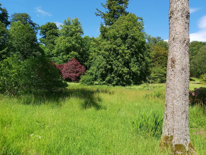 Lilburn Tower in Chillingham - Fabulous North