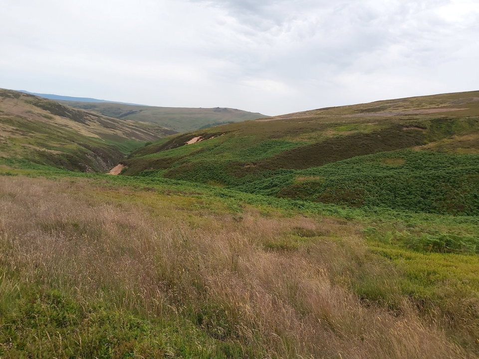 Hike To Hen Hole And Cheviot Summit in The Cheviots - Fabulous North