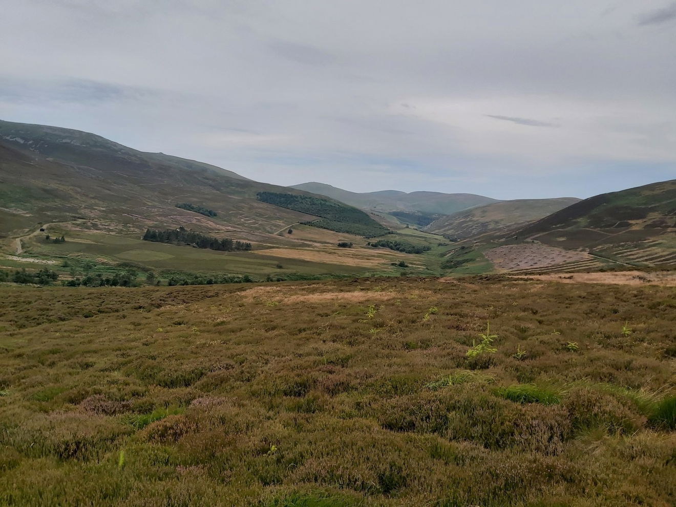 Hike To Hen Hole And Cheviot Summit in The Cheviots - Fabulous North