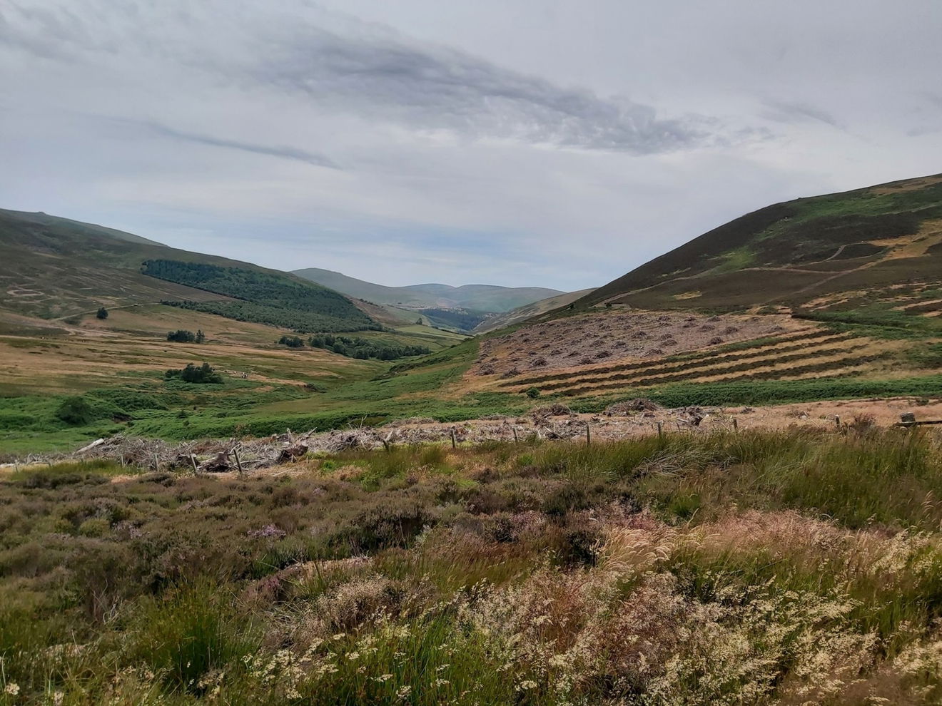 Hike To Hen Hole And Cheviot Summit in The Cheviots - Fabulous North