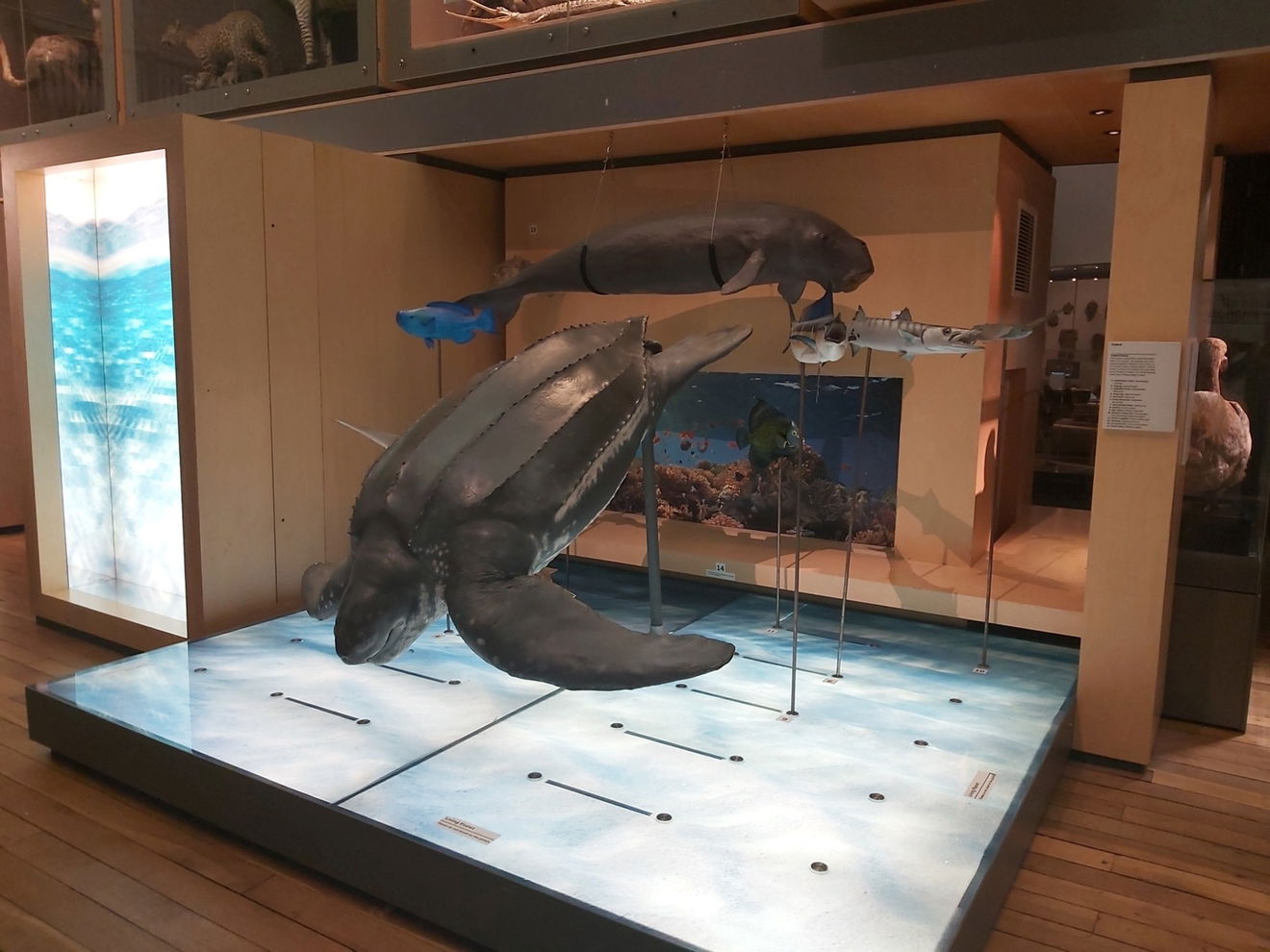 Great North Museum: Hancock In Newcastle City Centre - Fabulous North