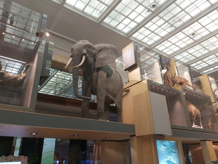 Great North Museum: Hancock In Newcastle City Centre - Fabulous North