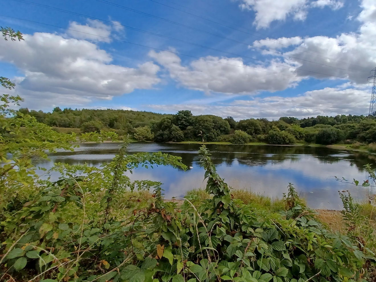 Stargate Ponds In Gateshead - Fabulous North