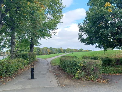 Washington F Pit in Washington - Fabulous North