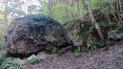 Castle Eden Dene in Peterlee - Fabulous North
