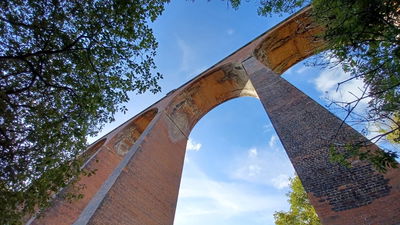 Castle Eden Dene in Peterlee - Fabulous North