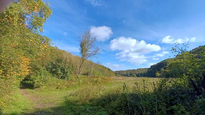 Castle Eden Dene in Peterlee - Fabulous North