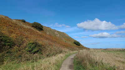 Castle Eden Dene in Peterlee - Fabulous North