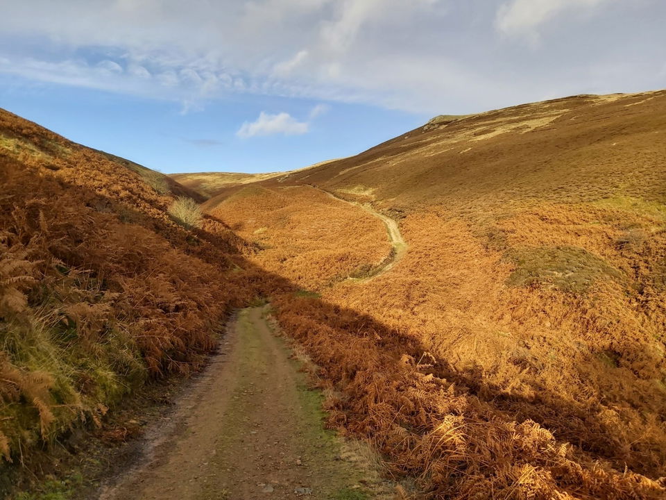Hike Up Cheviot And Hedgehope Hill - Fabulous North