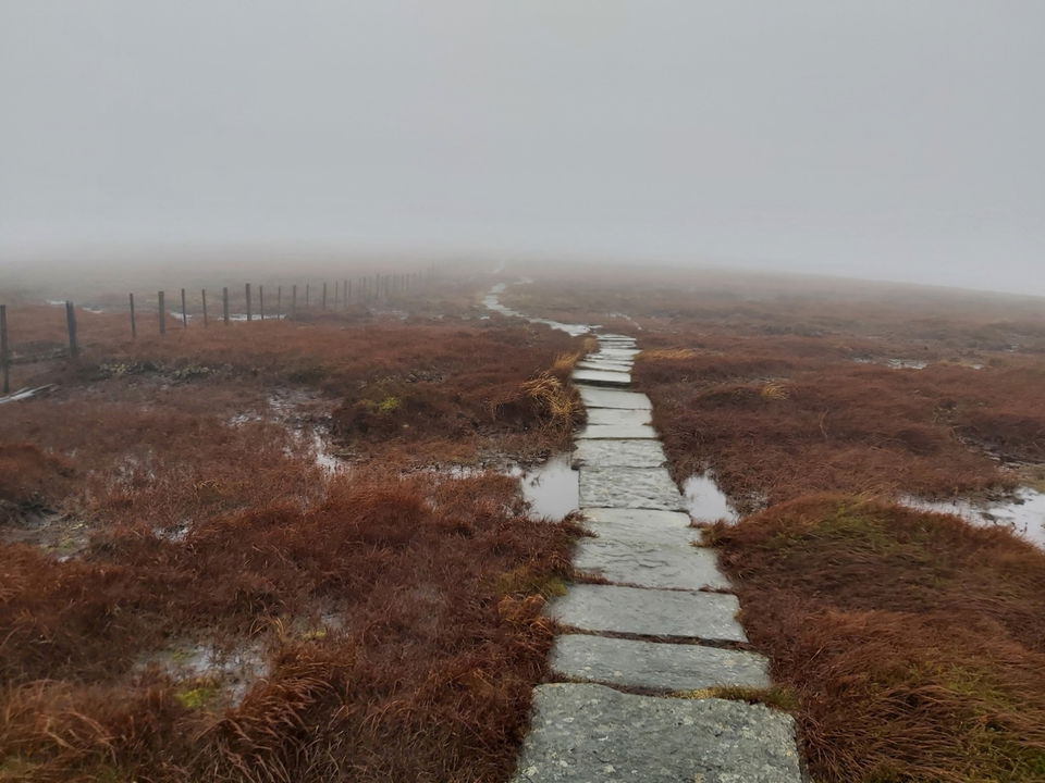 Hike Up Cheviot And Hedgehope Hill - Fabulous North