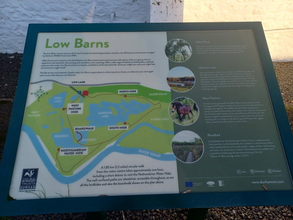 Low Barnes Nature Reserve in Bishop Auckland - Fabulous North
