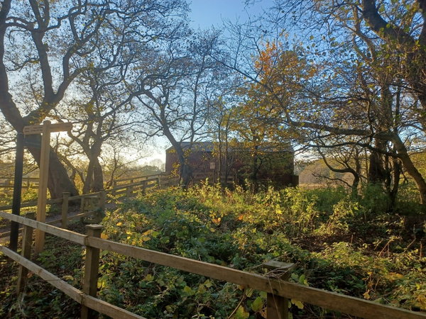 Low Barnes Nature Reserve in Bishop Auckland - Fabulous North