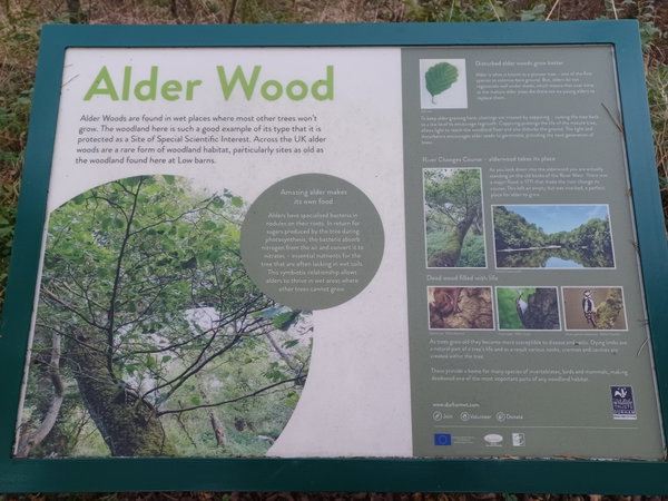 Low Barnes Nature Reserve in Bishop Auckland - Fabulous North