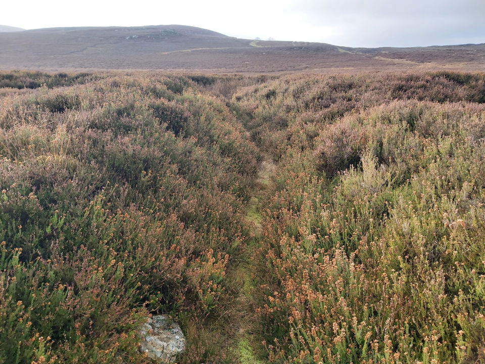 Rothbury Trenches In Rothbury - Fabulous North