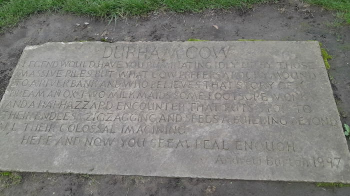 The Durham Cow in Durham - Fabulous North