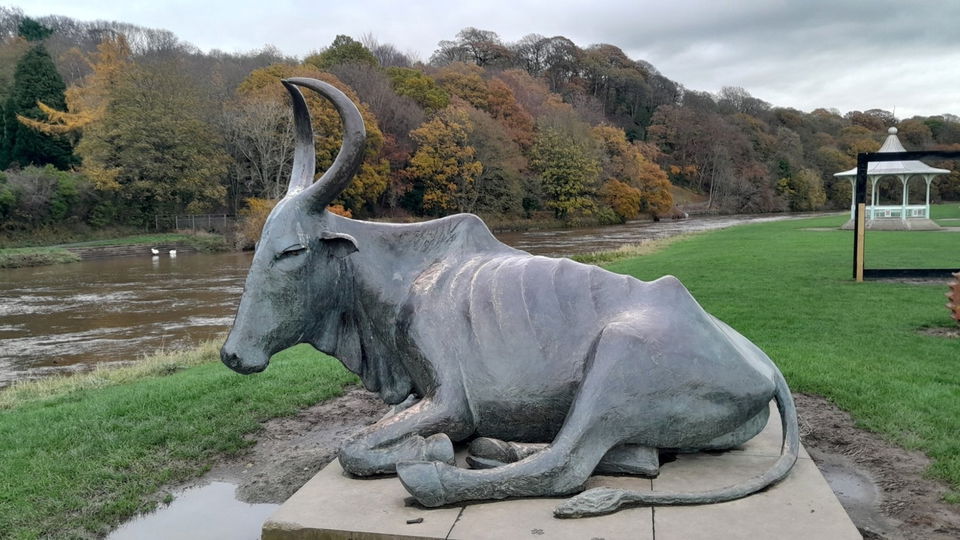 The Durham Cow in Durham - Fabulous North