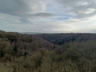 Hownsgill Viaduct in Consett - Fabulous North