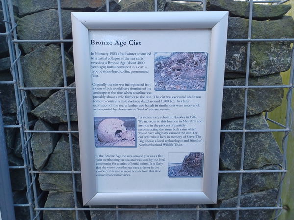 Hauxley Nature Reserve In Amble - Fabulous North