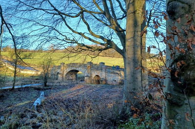 Wallington Hall in Morpeth - Fabulous North
