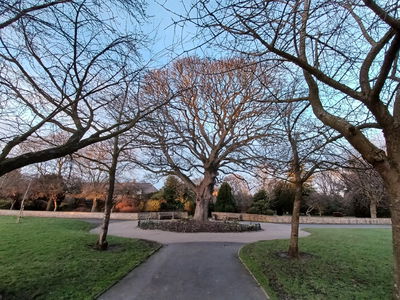 Chase Park In Whickham - Fabulous North